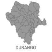 Ficha Biográfica Resumen